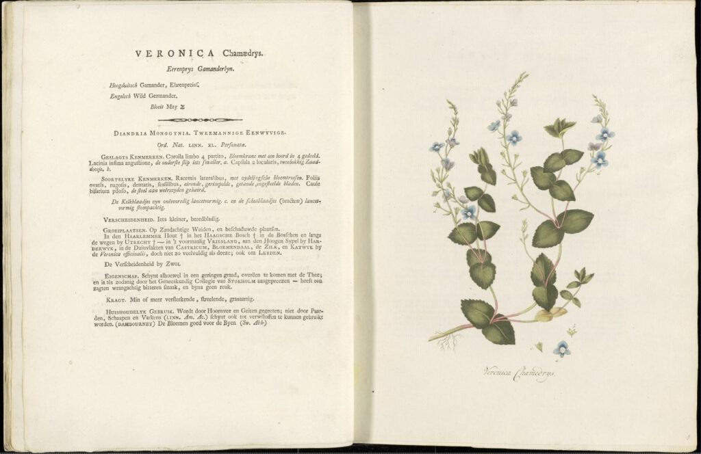 Stories Plants Tell: Flora Batava 1800-1934 – Exhibitions@WURLibrary