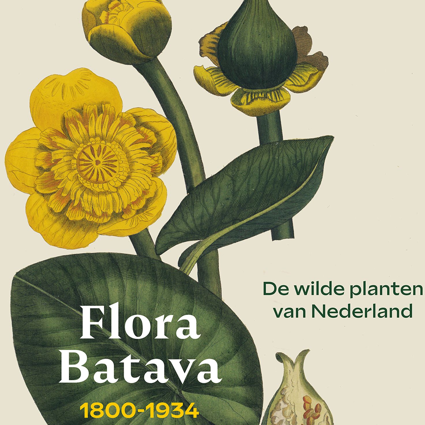 Flora Batava, edition of 2023 – Exhibitions@WURLibrary